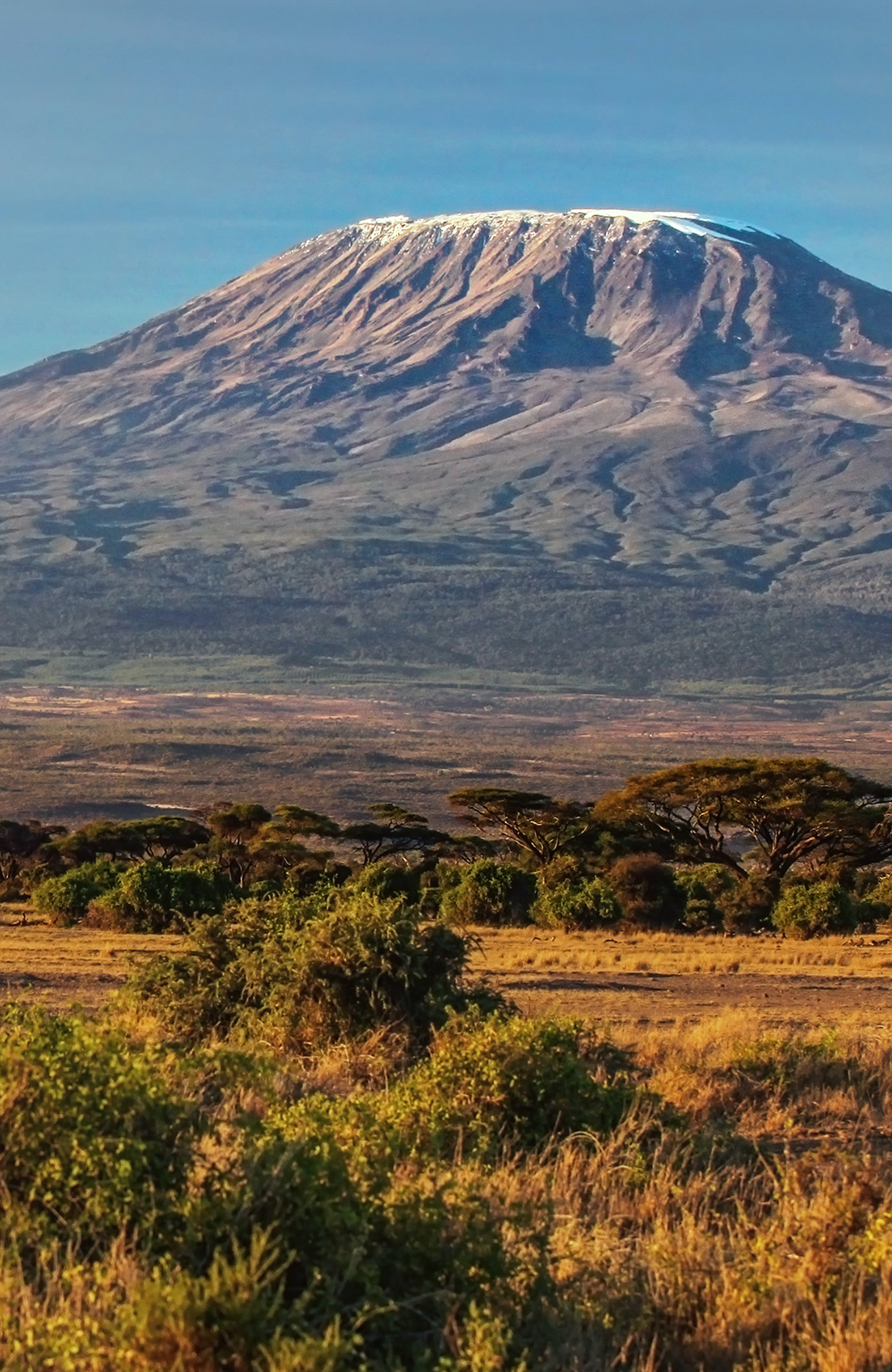 Resa till Tanzania | Safari & Kilimanjaro | KILROY